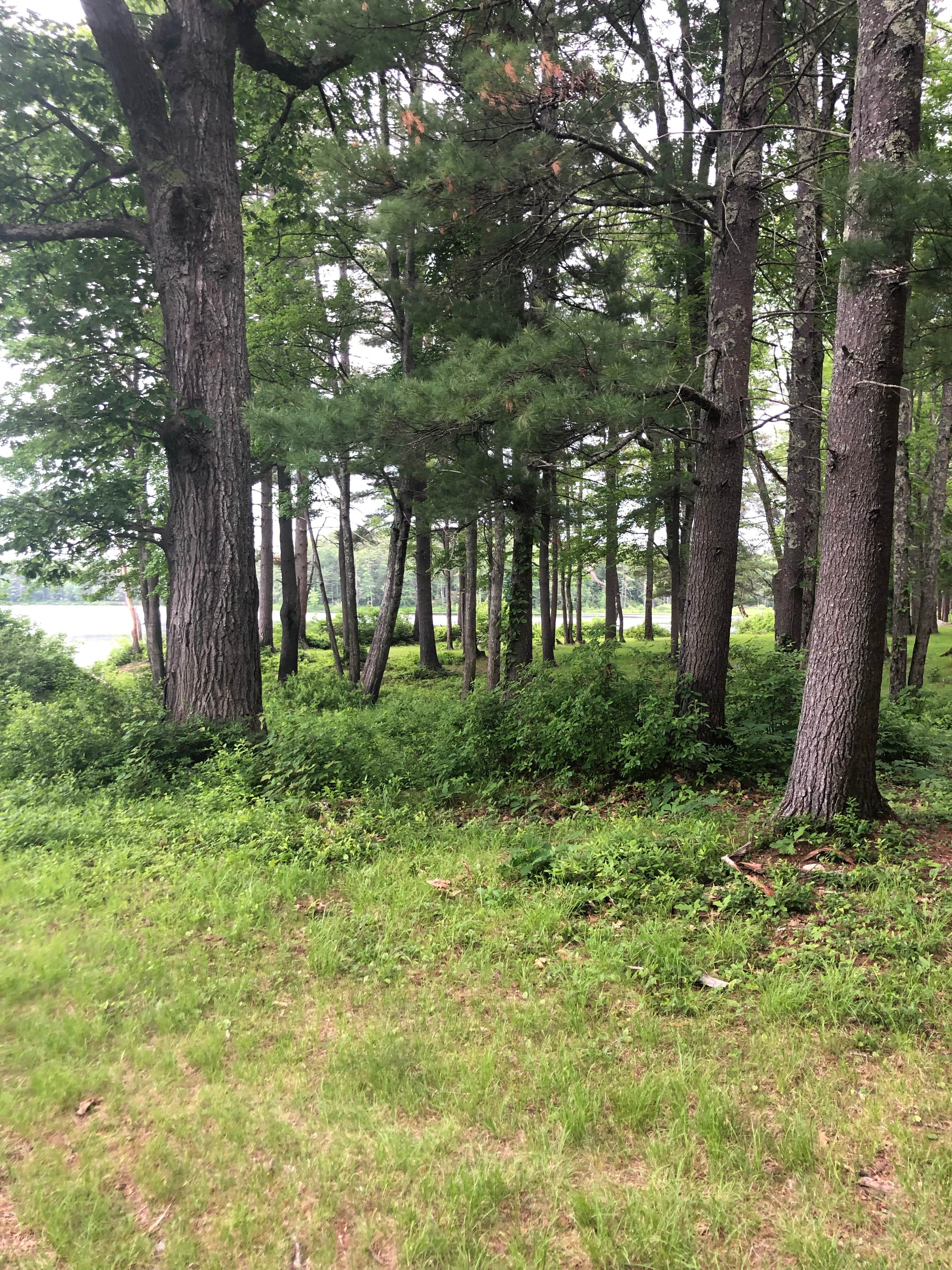 Lake Dennison State Park | The Dyrt