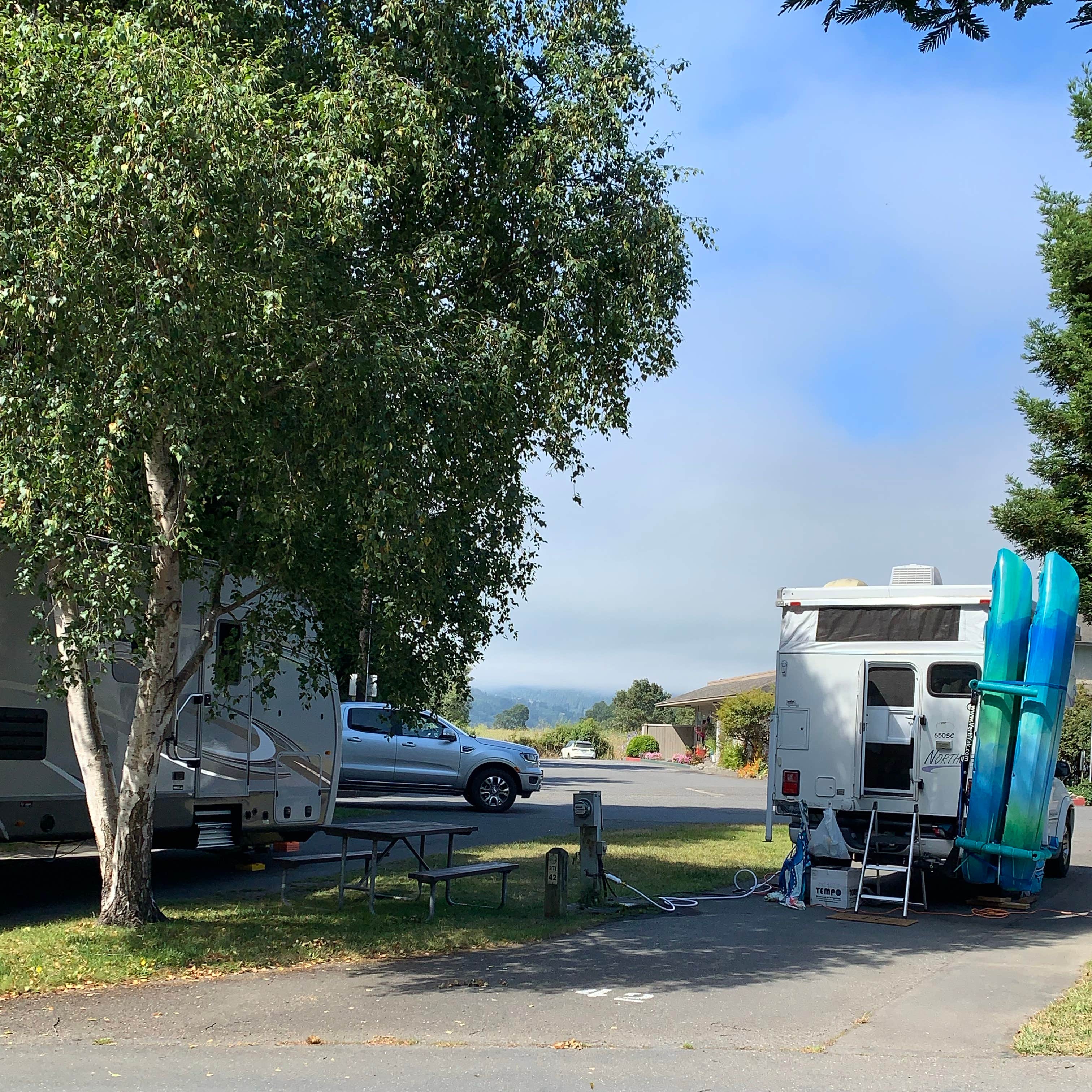 Riverwalk RV Park Camping | The Dyrt