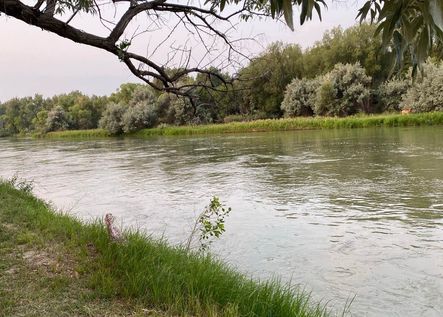 Memory Bridge Campground Camping | The Dyrt