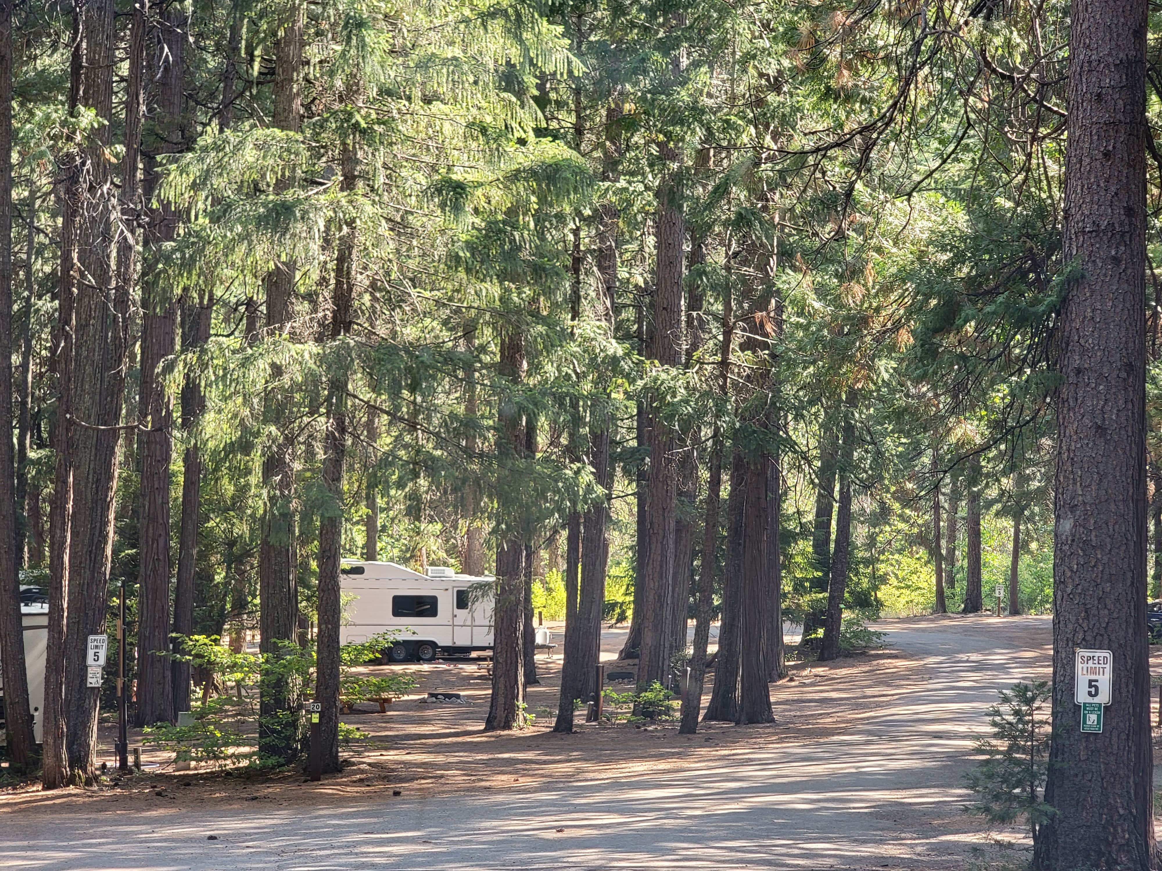 Railroad Park Resort Camping | Dunsmuir, CA
