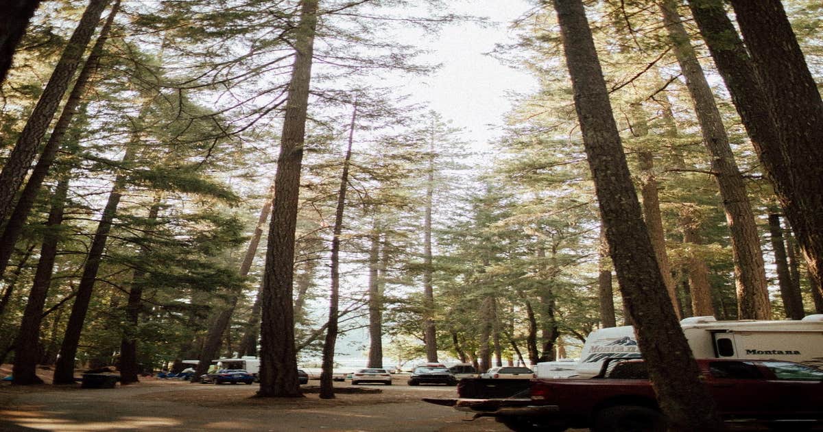 Lake Selmac Resort Camping | Selma, Oregon