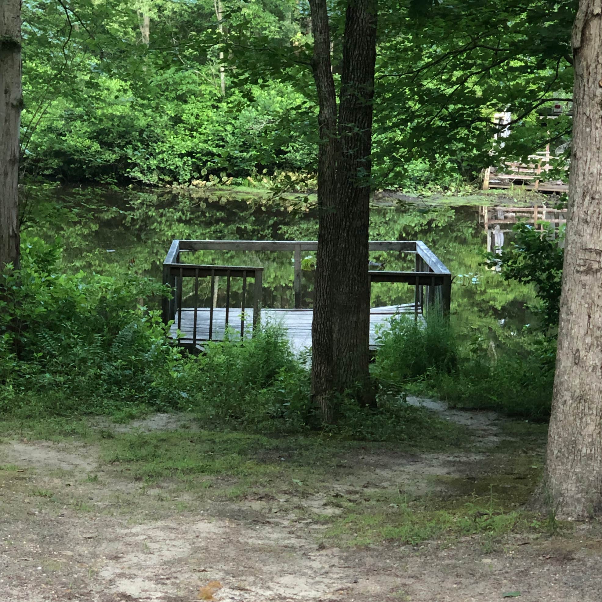 Timberland Lake Campground Camping | The Dyrt