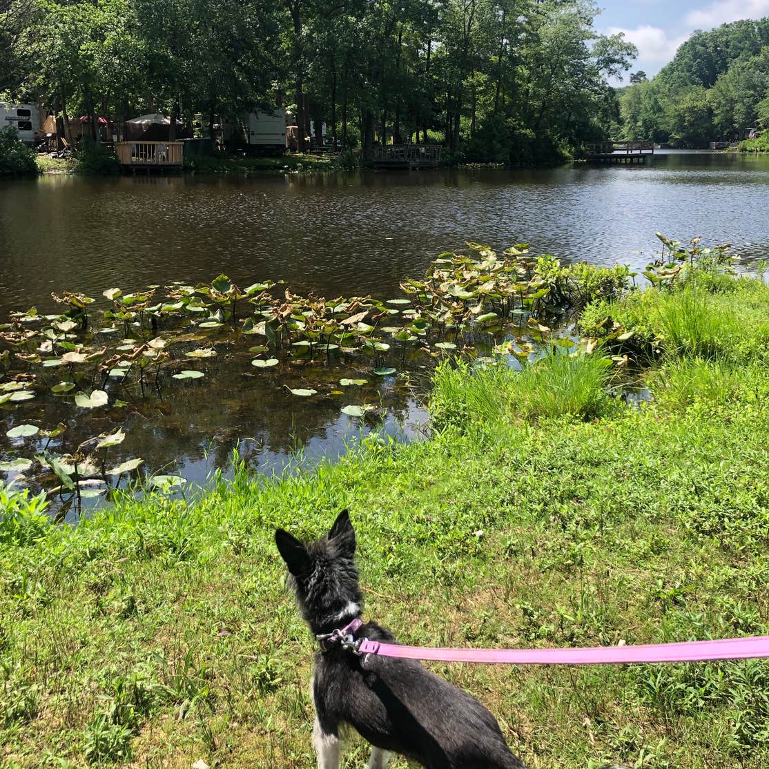 Timberland Lake Campground | Cream Ridge, New Jersey