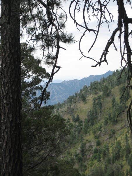 Rustler Park Campground | San Simon, AZ