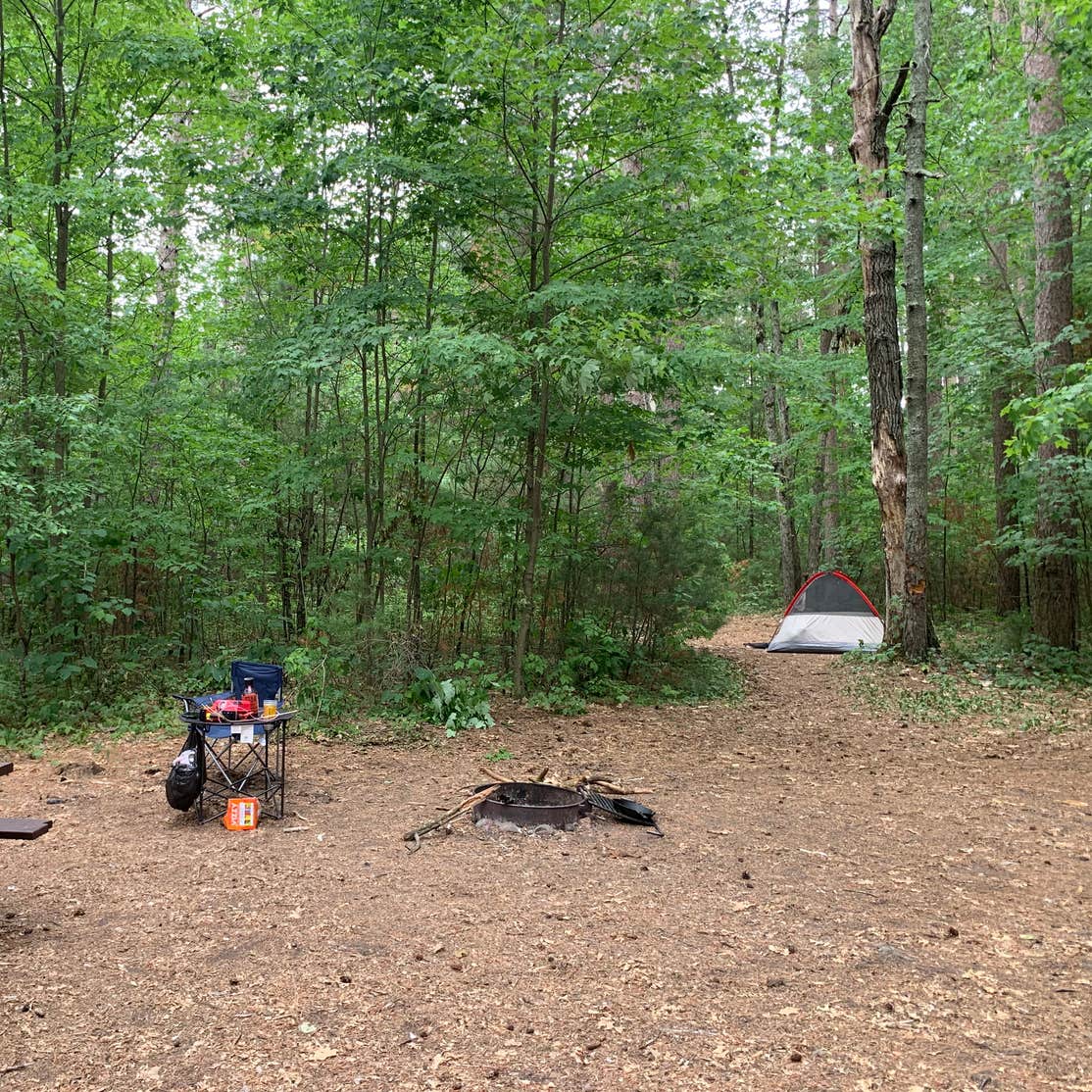 Sandrock Cliffs — Saint Croix National Scenic Riverway Camping ...