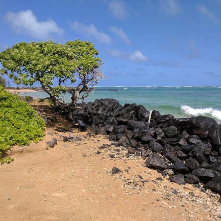 Kapa'a Beach Park Camping | Pu'u O Umi Natural Area Reserve, Hawaii