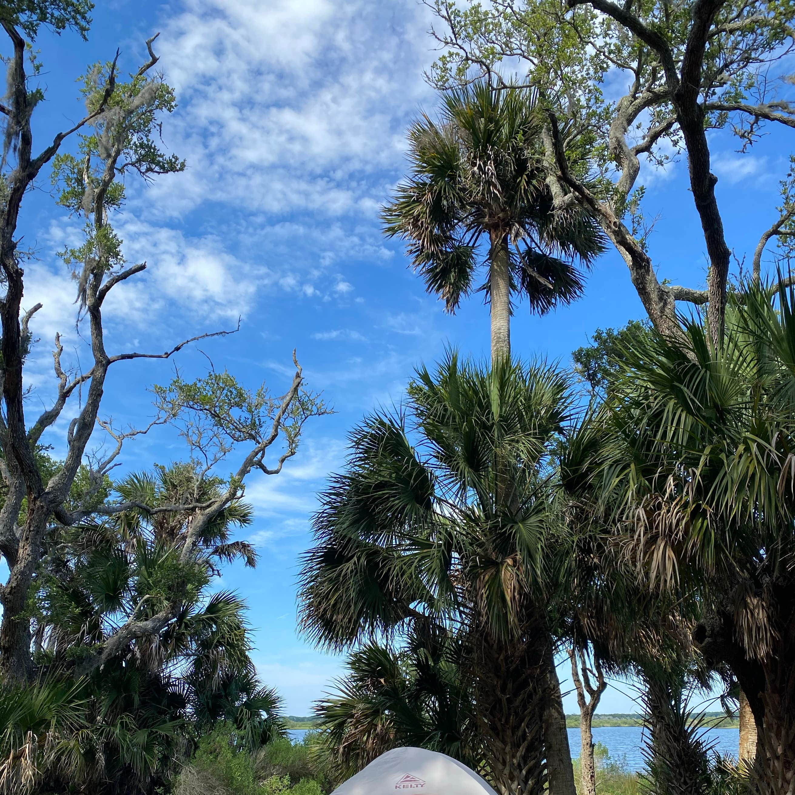 Princess Place Preserve Camping | Palm Coast, Florida