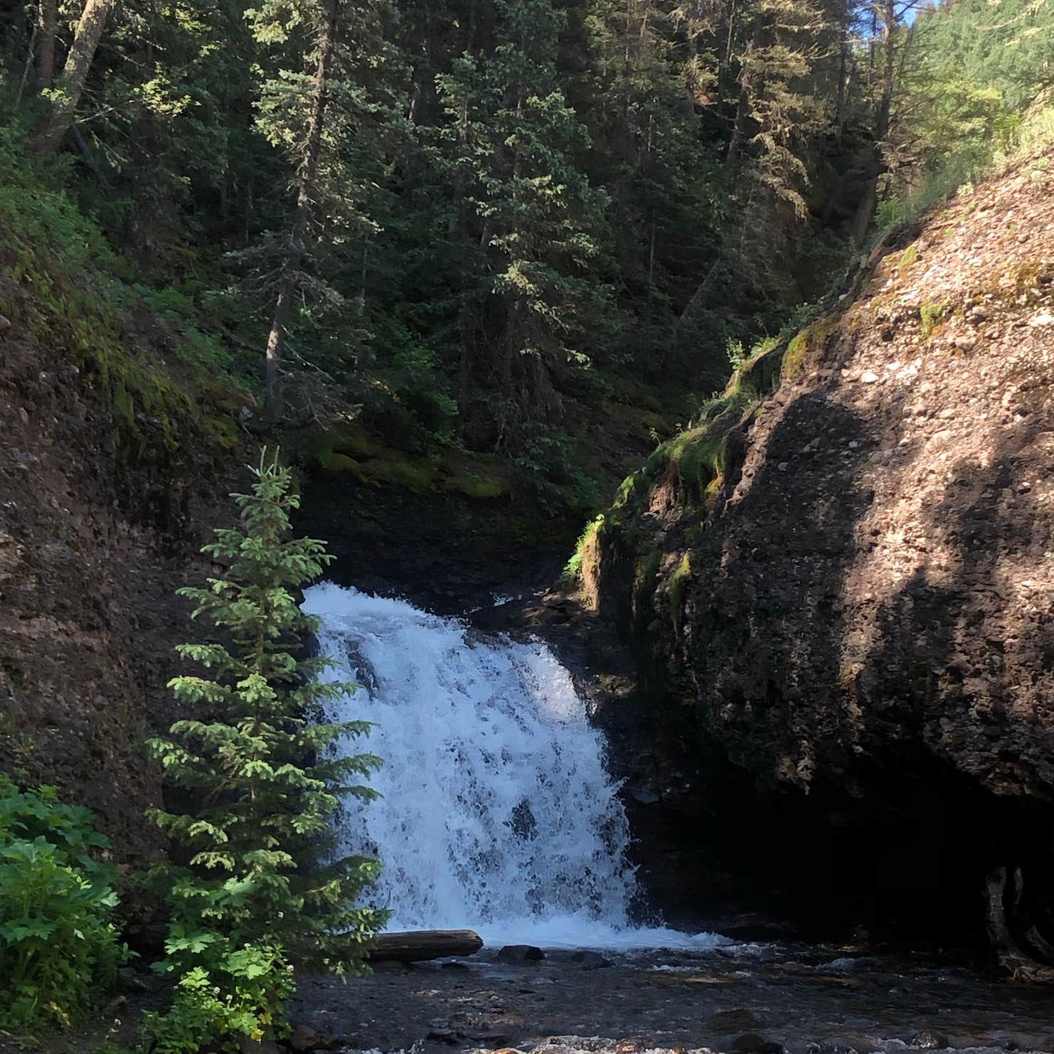 Telluride Town Park Campground | Telluride, Colorado