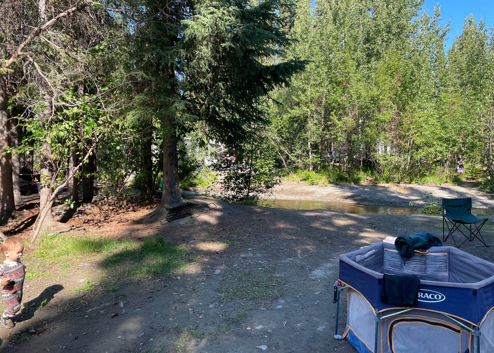 Tolsona Wilderness Campground Camping | The Dyrt