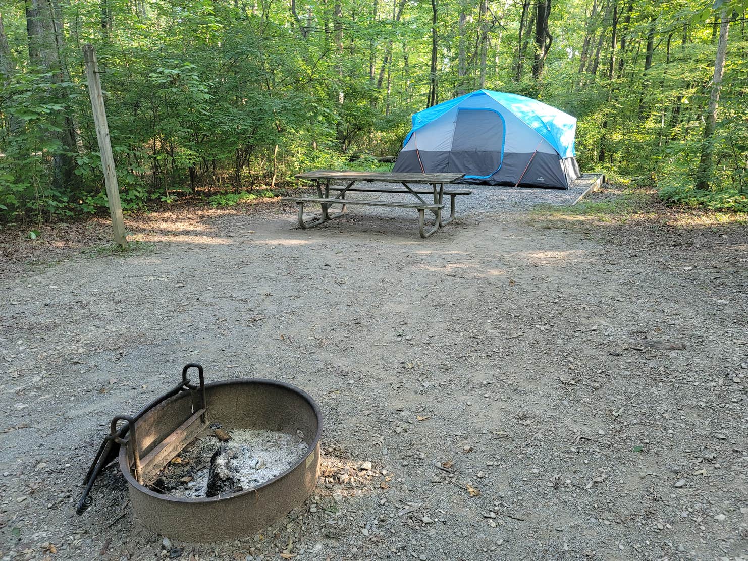 Little Bennett Regional Park Campground | The Dyrt