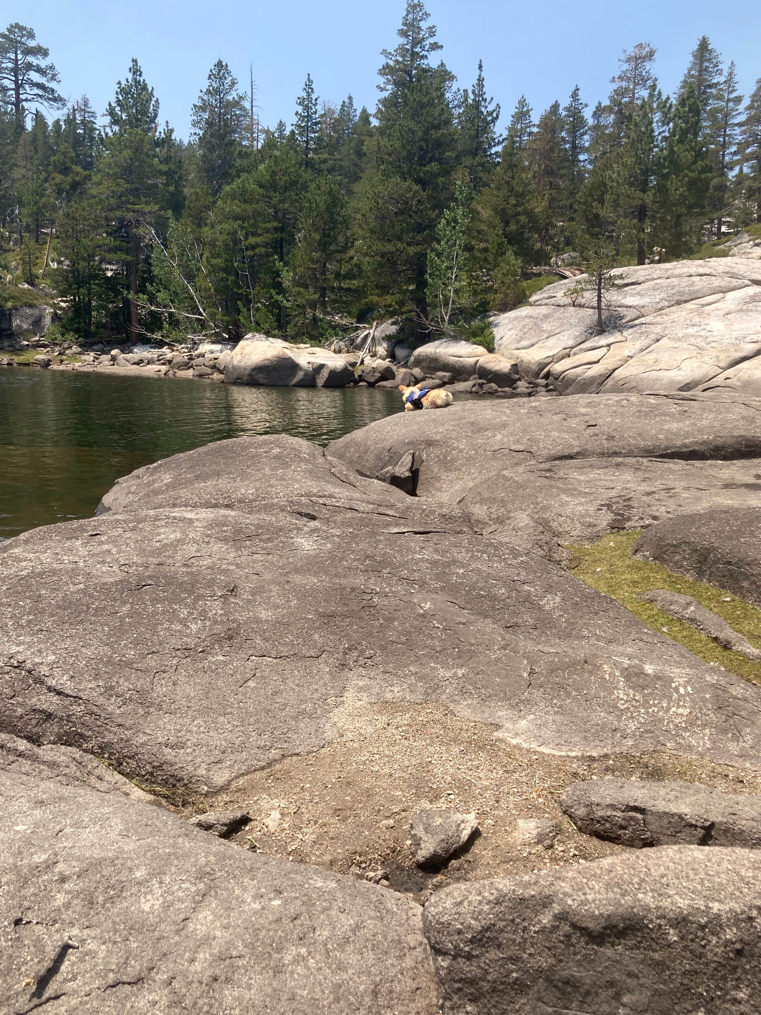 Plasses Resort Camping | Kit Carson, California