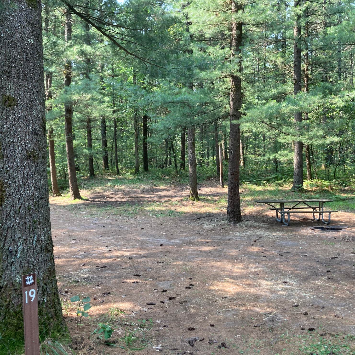 Manistee National Forest Marzinski Horse Trail Campground Camping | The ...