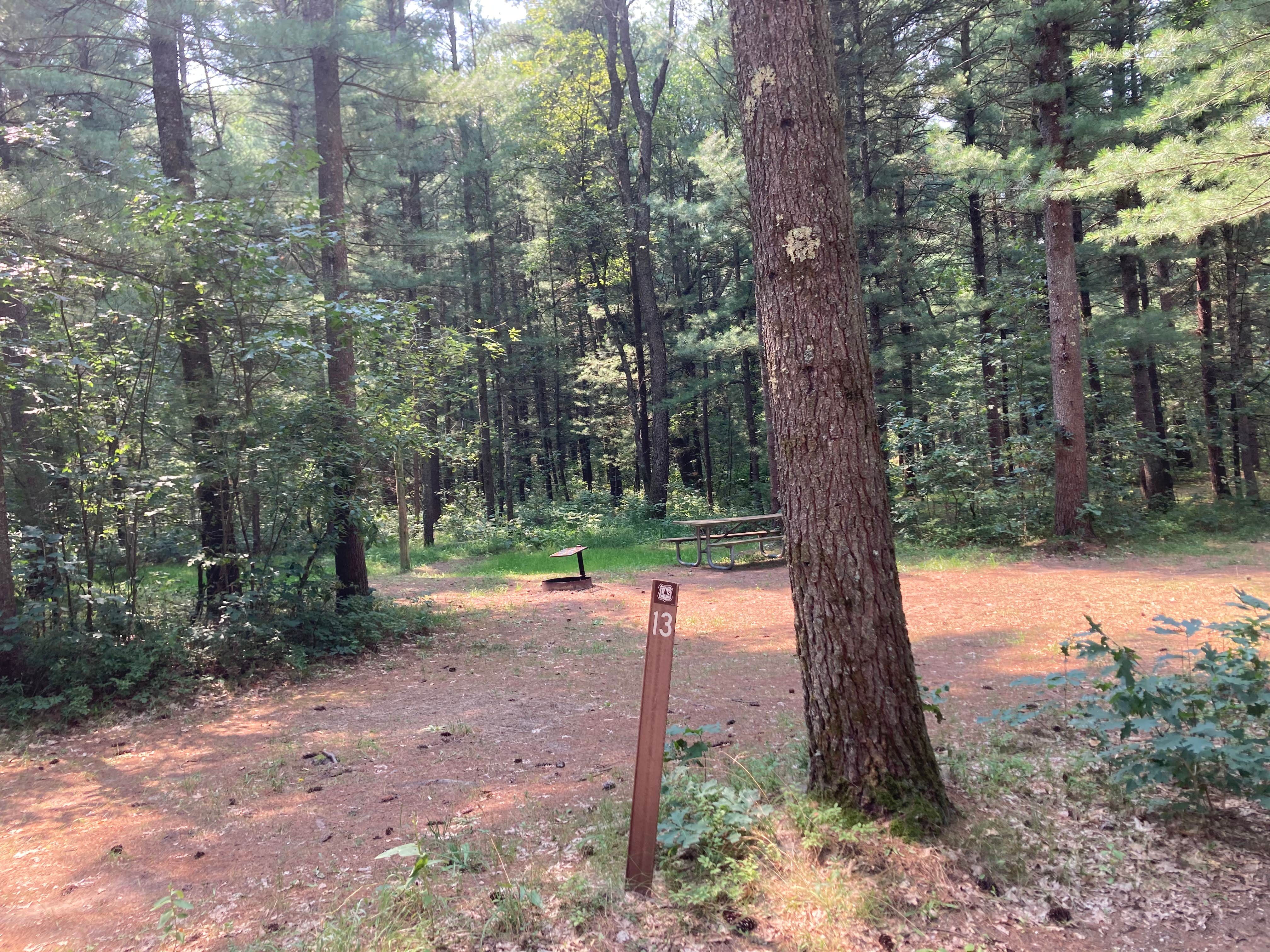 Manistee National Forest Marzinski Horse Trail Campground | Wellston, MI