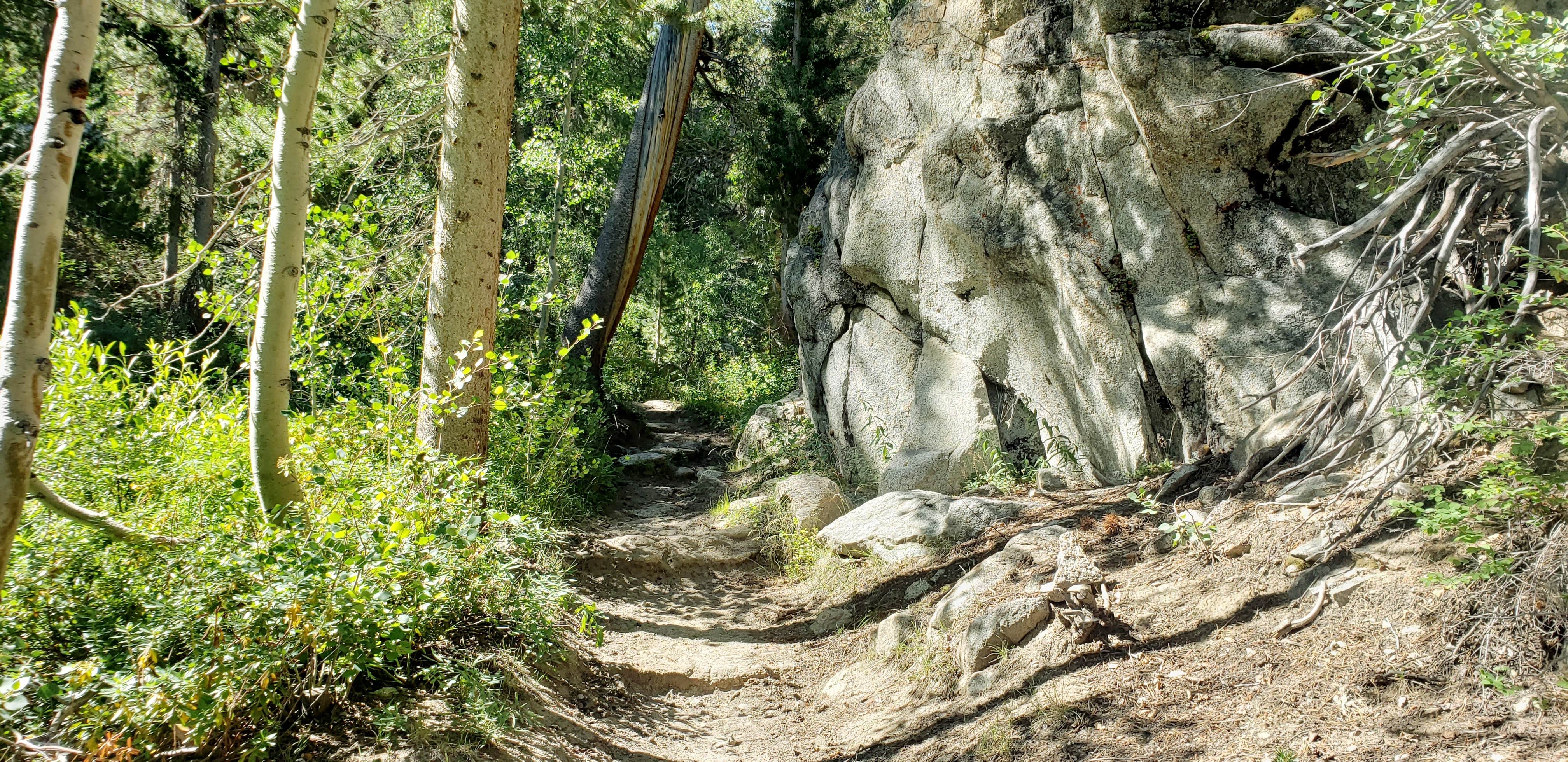 Sabrina Campground Camping | The Dyrt