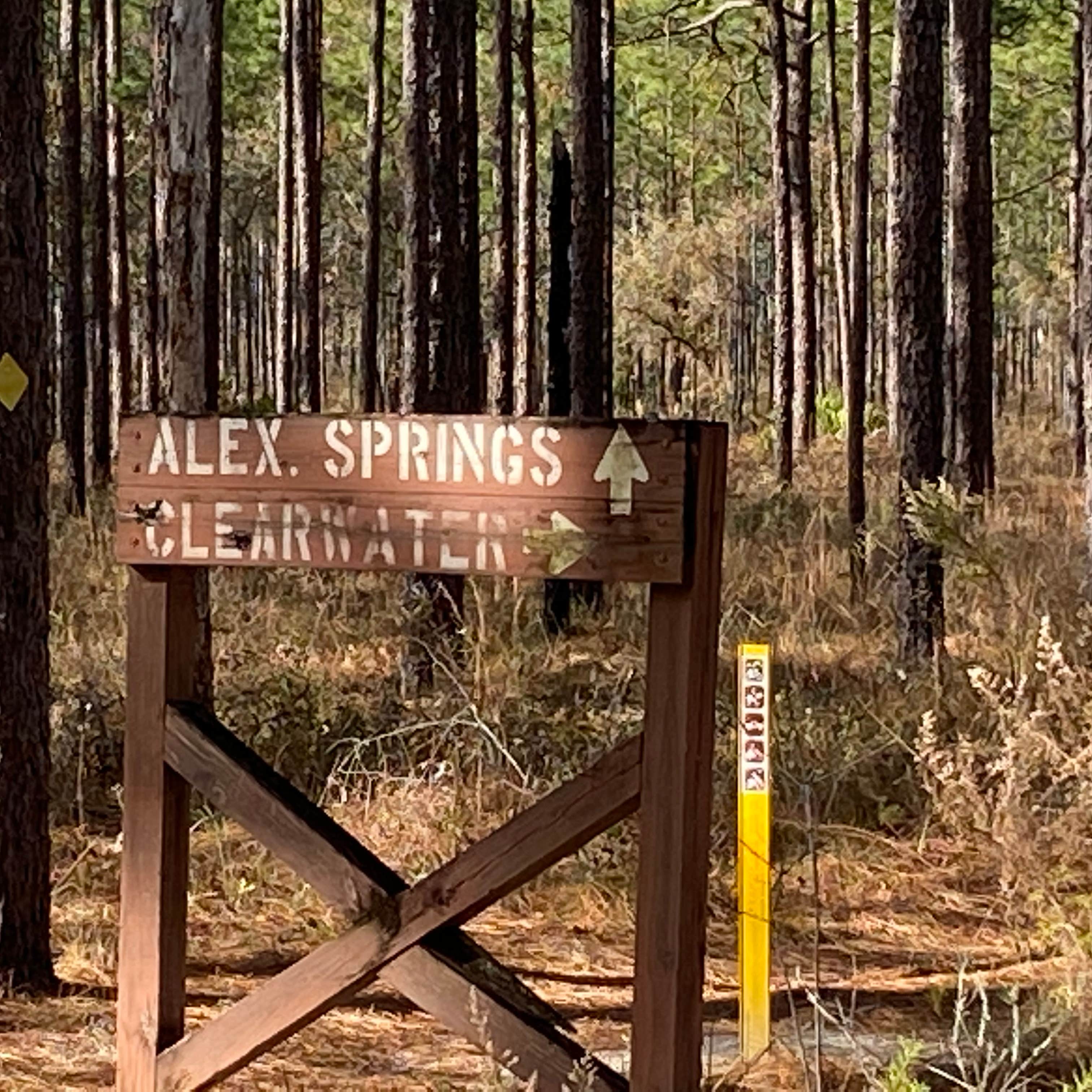 Alexander Springs Recreation Area Camping | Altoona, FL