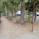 Cinder Hill Campground | La Pine, Oregon