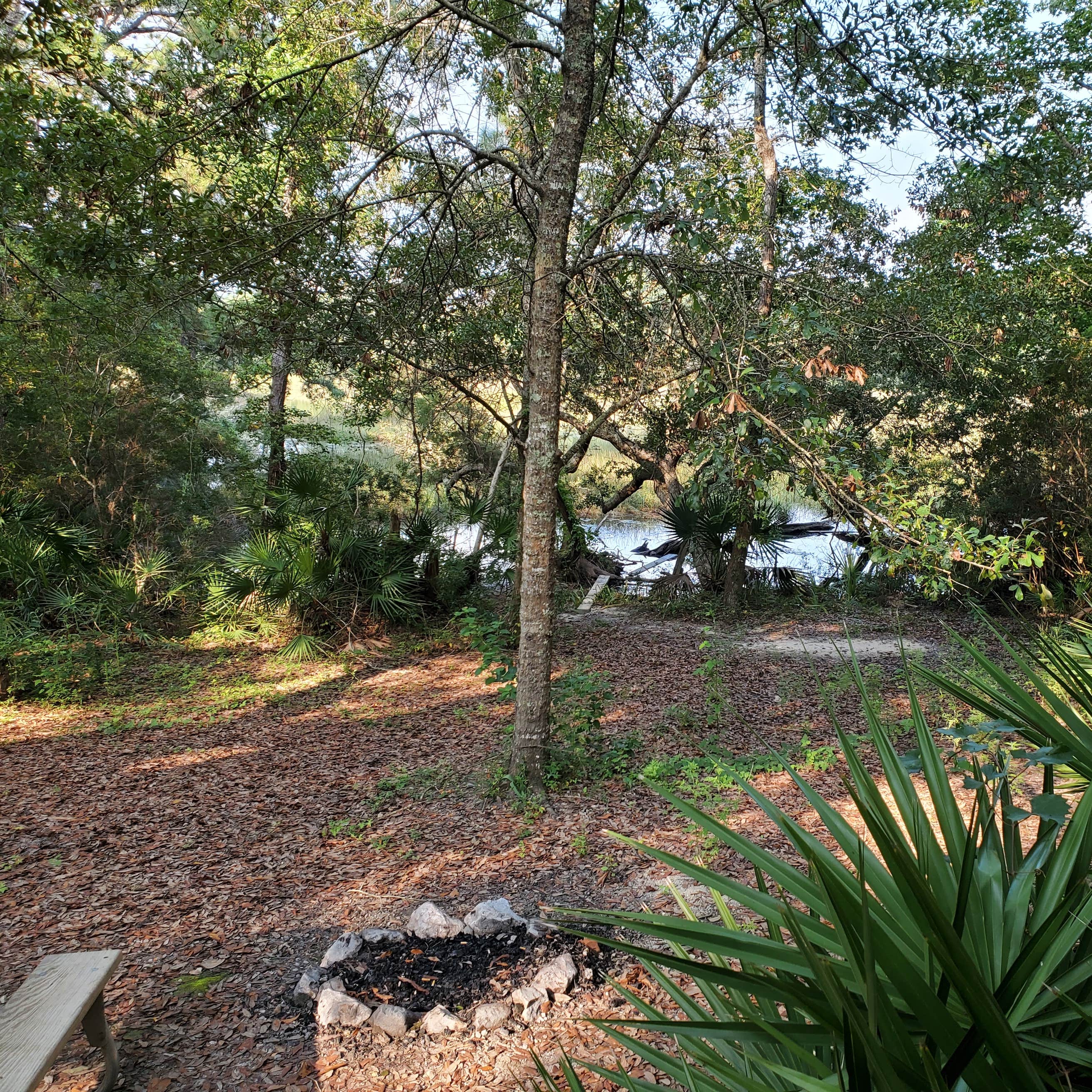 Shepard State Park Campground | Gautier, Mississippi