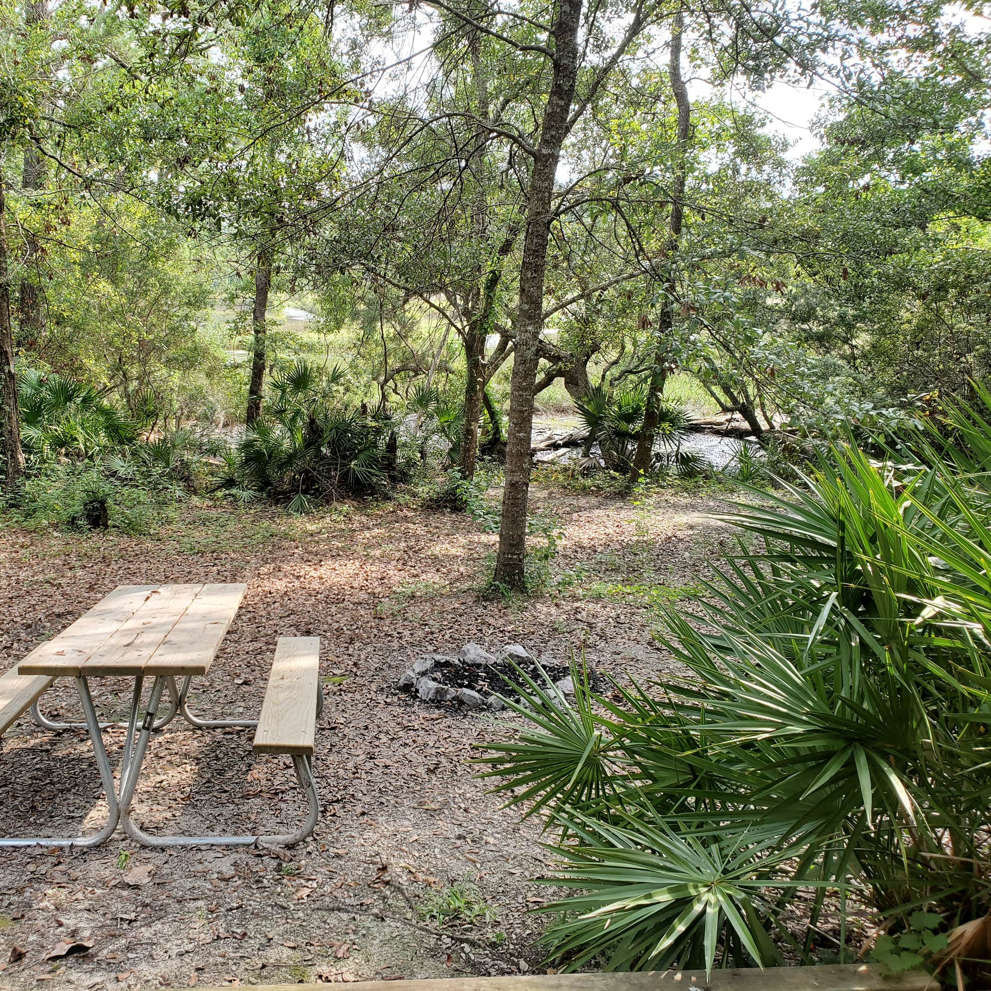 Shepard State Park Campground | Gautier, Mississippi