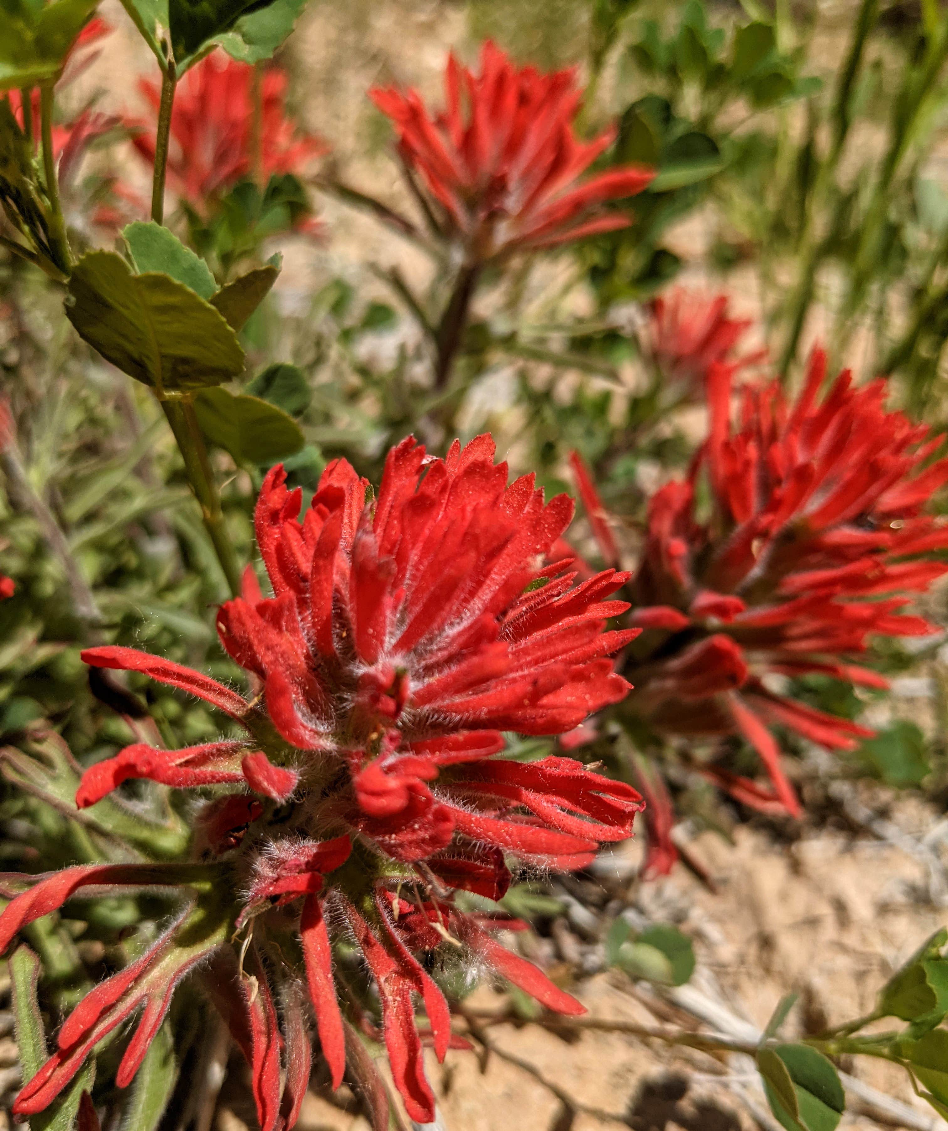 Best camping in Bryce Canyon National Park | The Dyrt