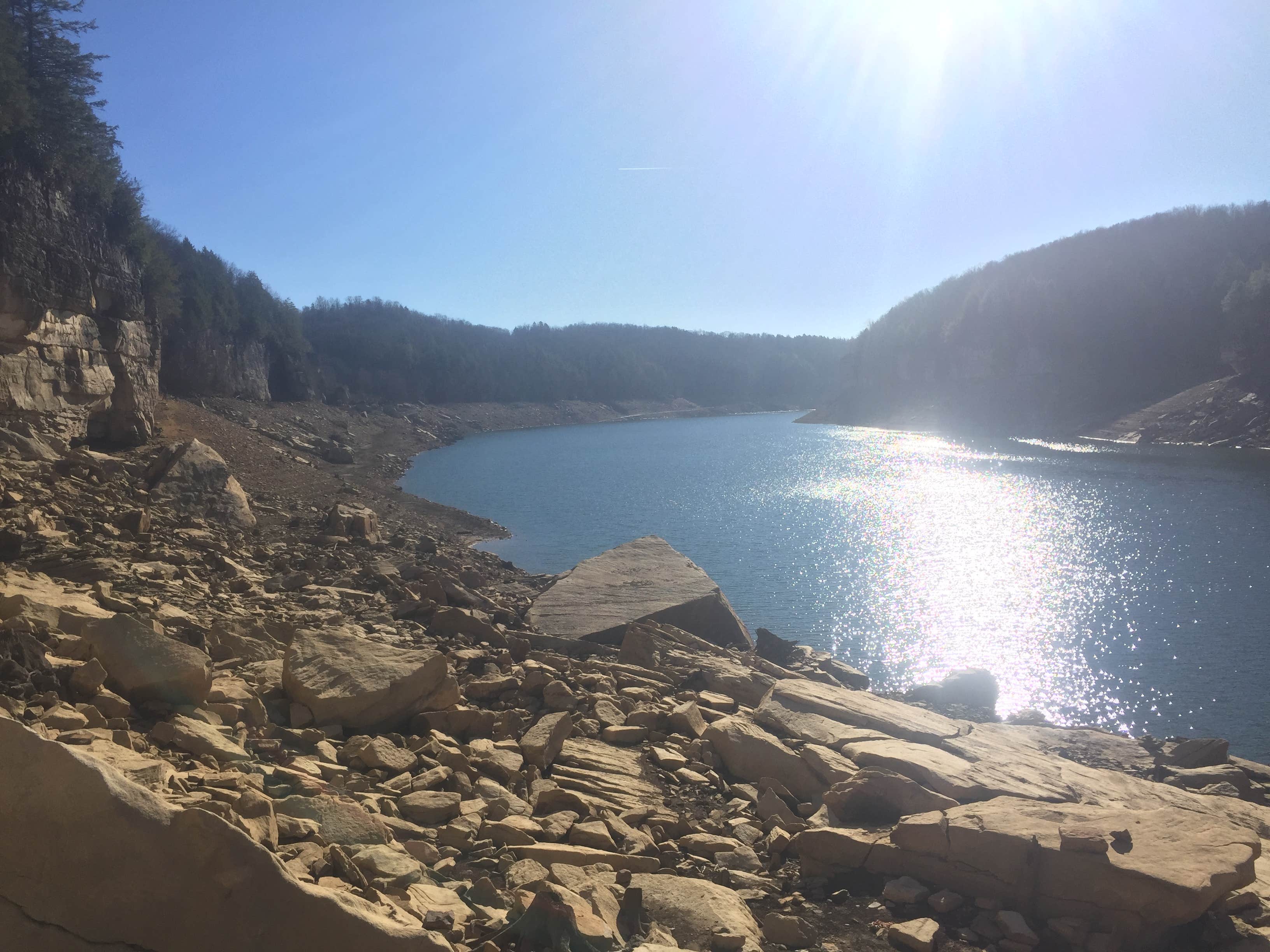 New River Gorge Campground - American Alpine Club | The Dyrt