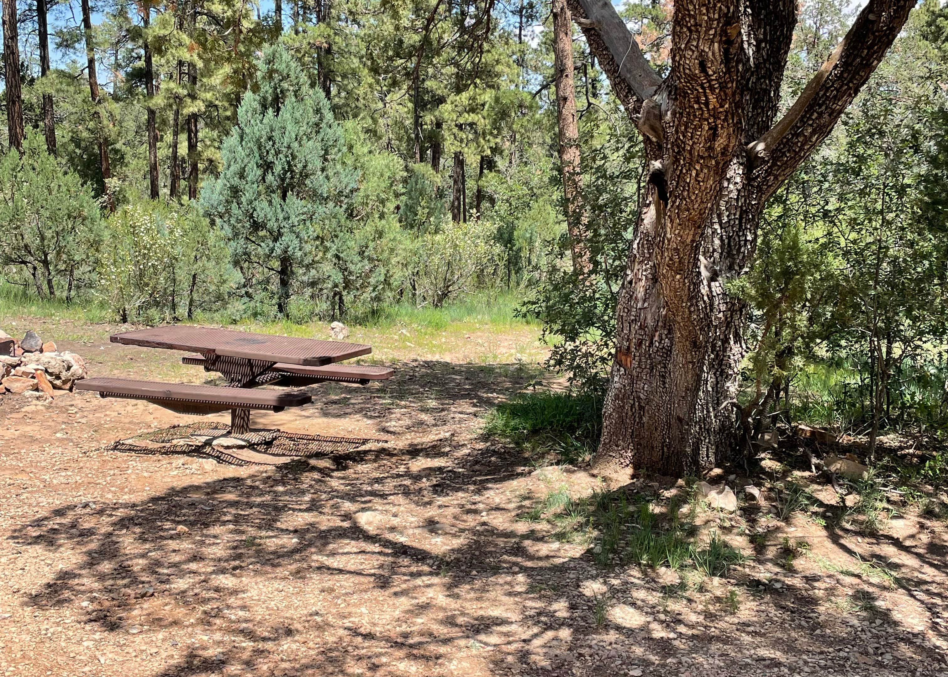 Chevelon Canyon Lake Campground Camping | The Dyrt