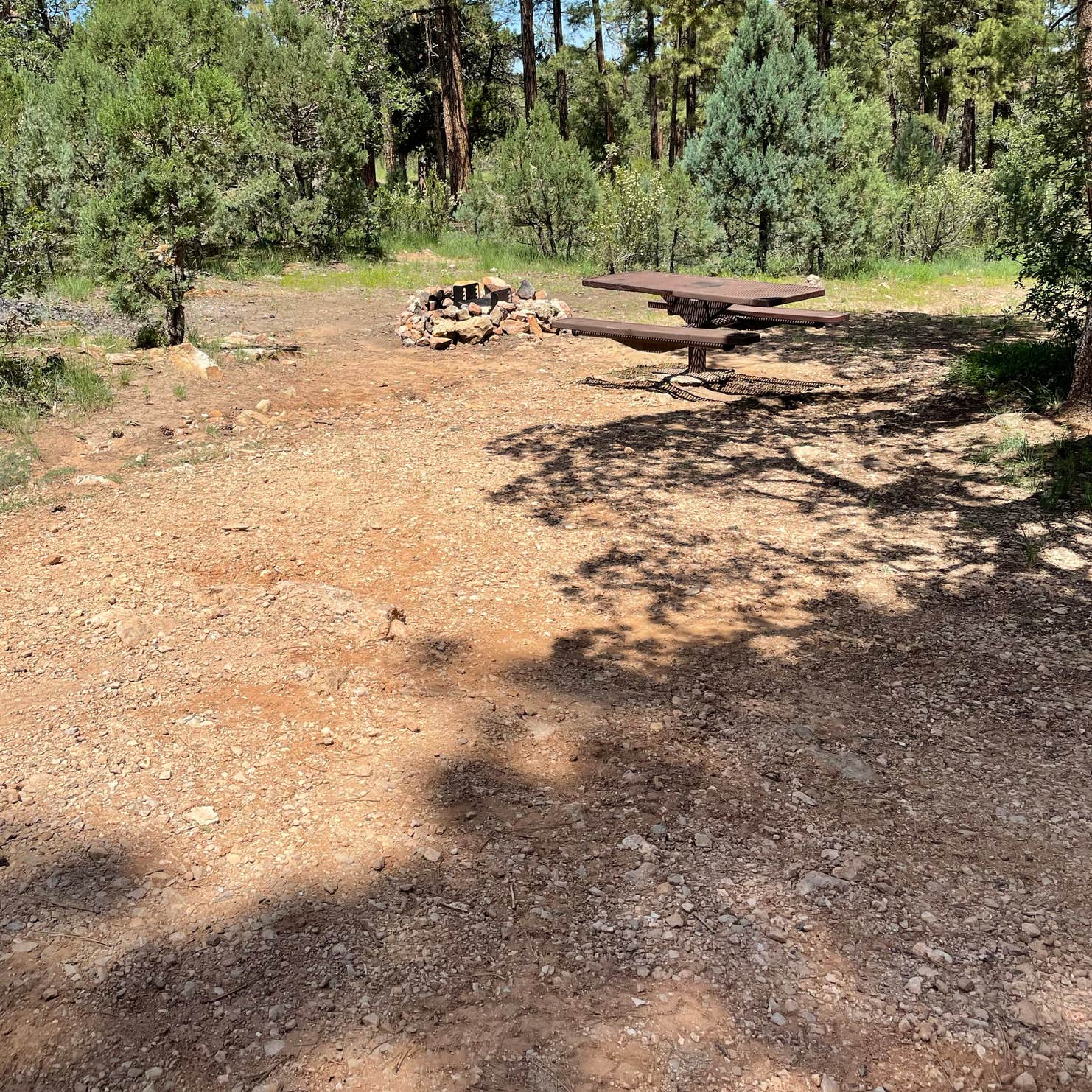 Chevelon Canyon Lake Campground | Forest Lakes, AZ