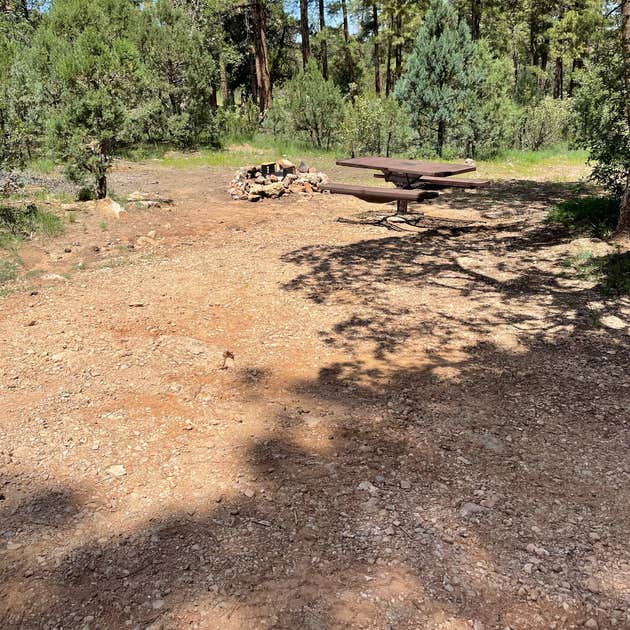 Chevelon Canyon Lake Campground | Forest Lakes, AZ