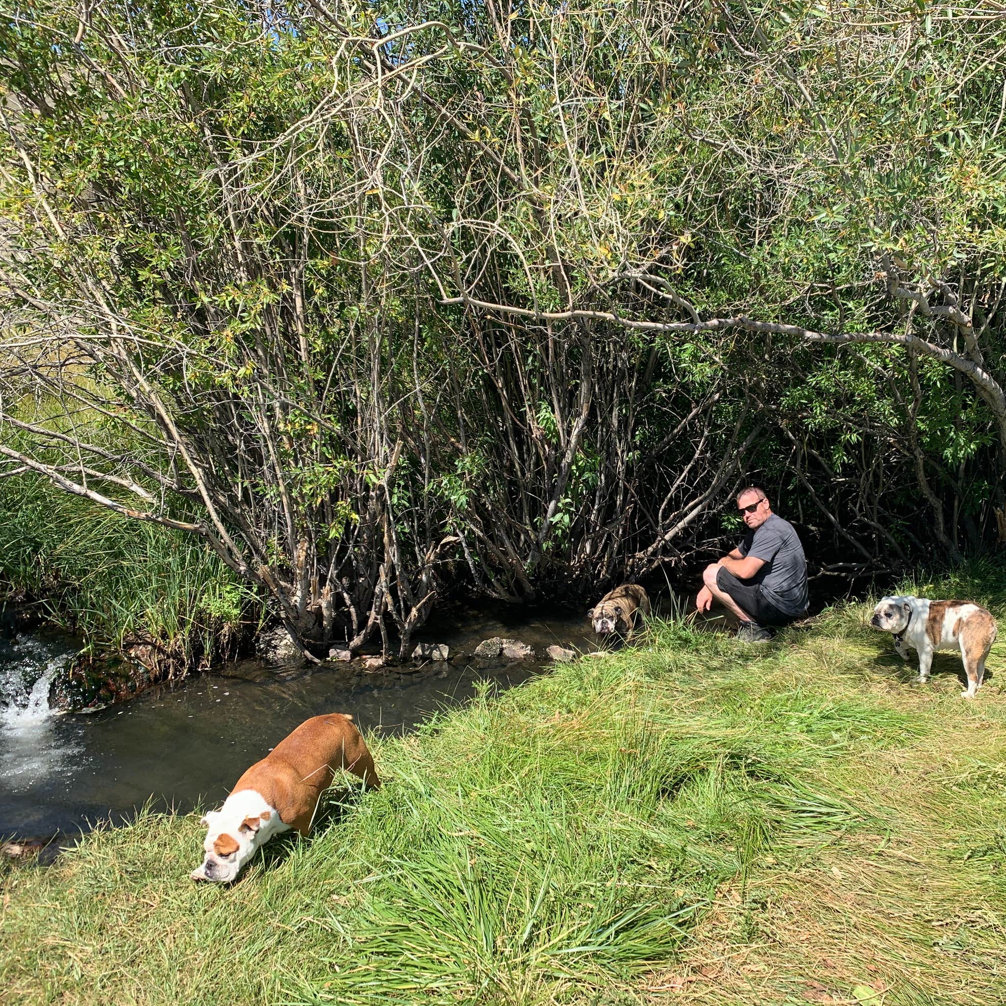 Camp Hart Mountain | Plush, Oregon