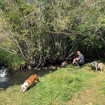 Camp Hart Mountain | Plush, Oregon