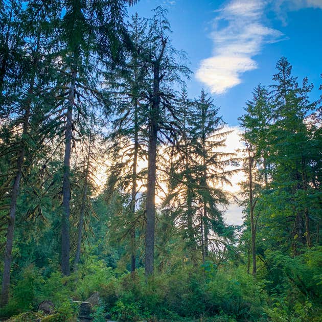 Verlot Campground | Granite Falls, WA