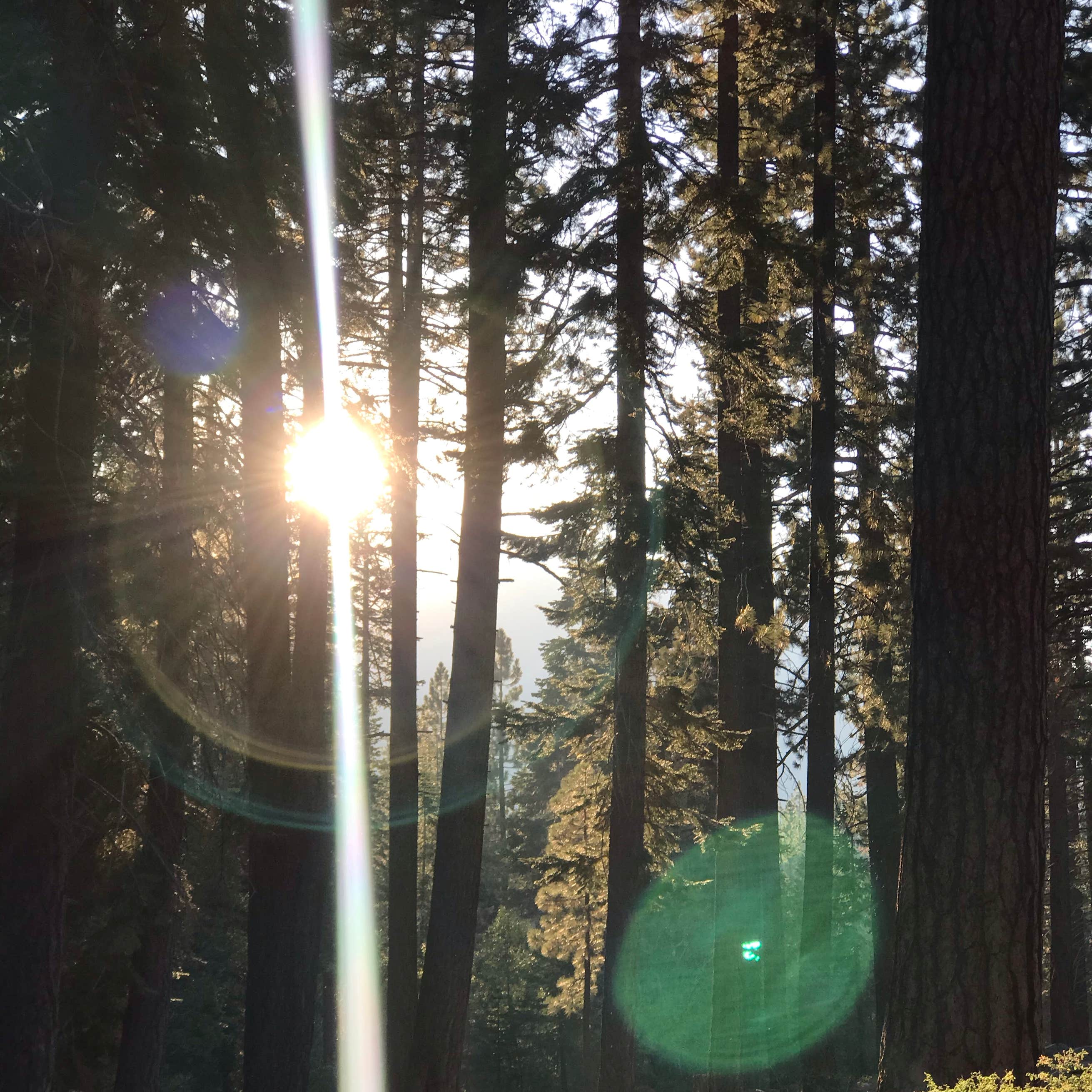 Luther Pass Camping | Echo Lake, CA