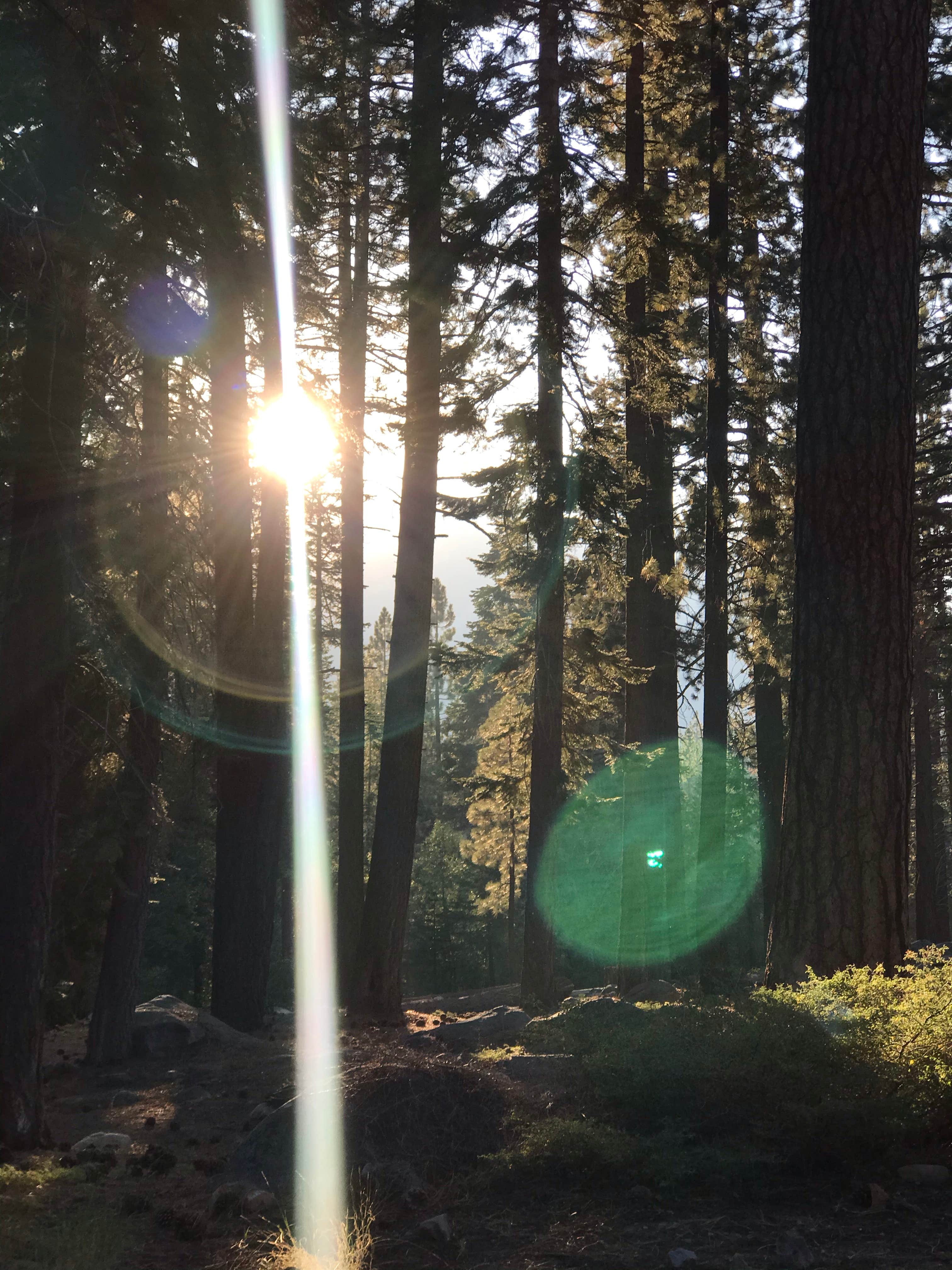 Luther Pass Camping | Echo Lake, CA