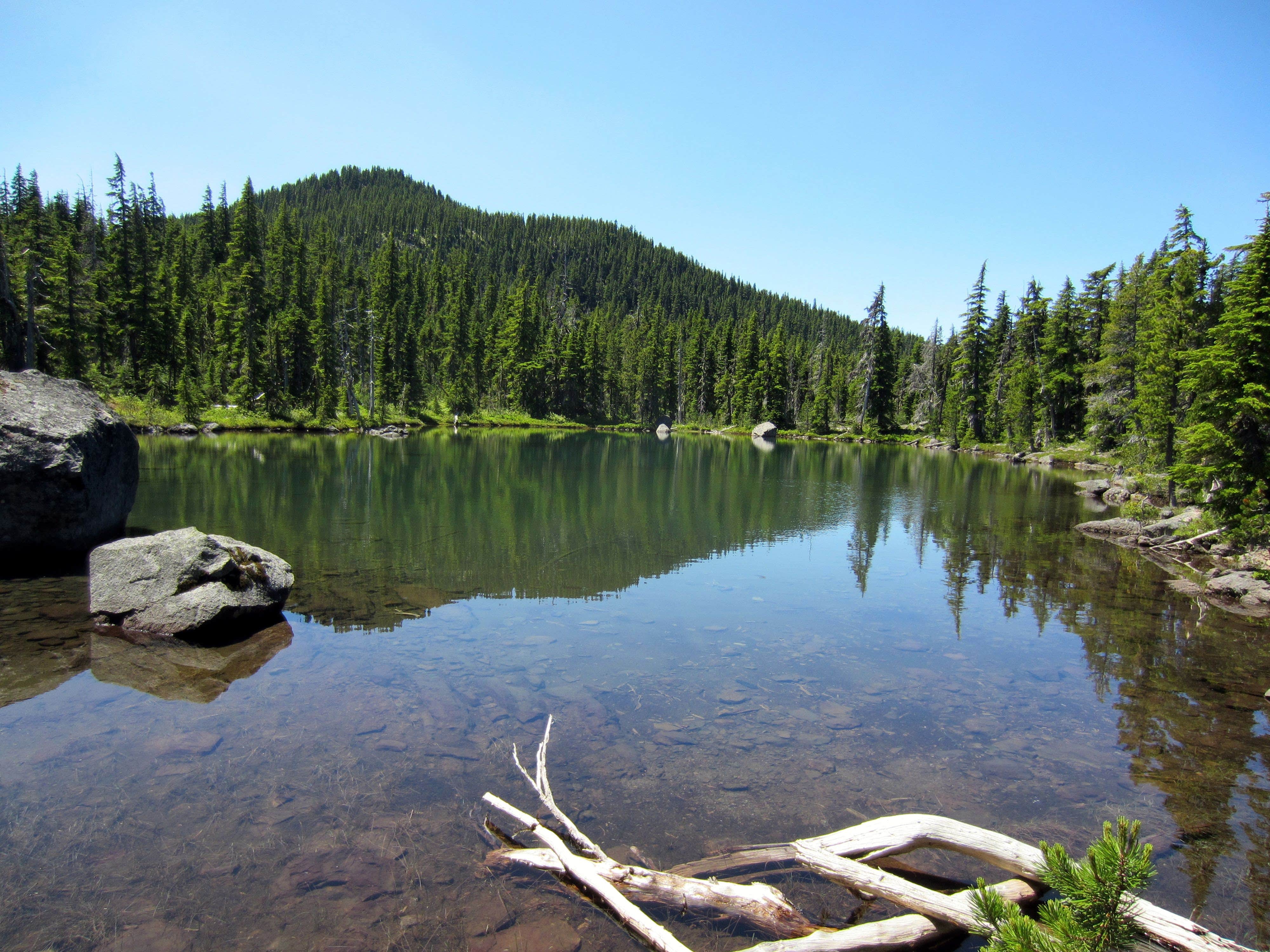Best camping in Mt. Hood National Forest | The Dyrt