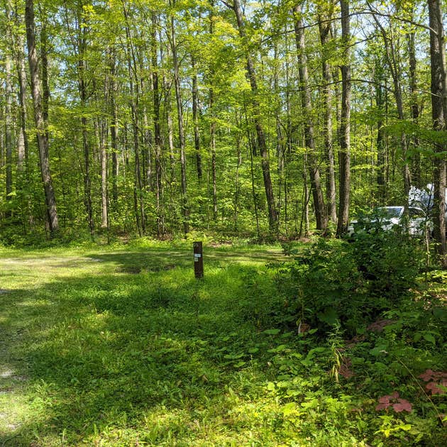 Tracy Ridge Camping | Bradford, PA