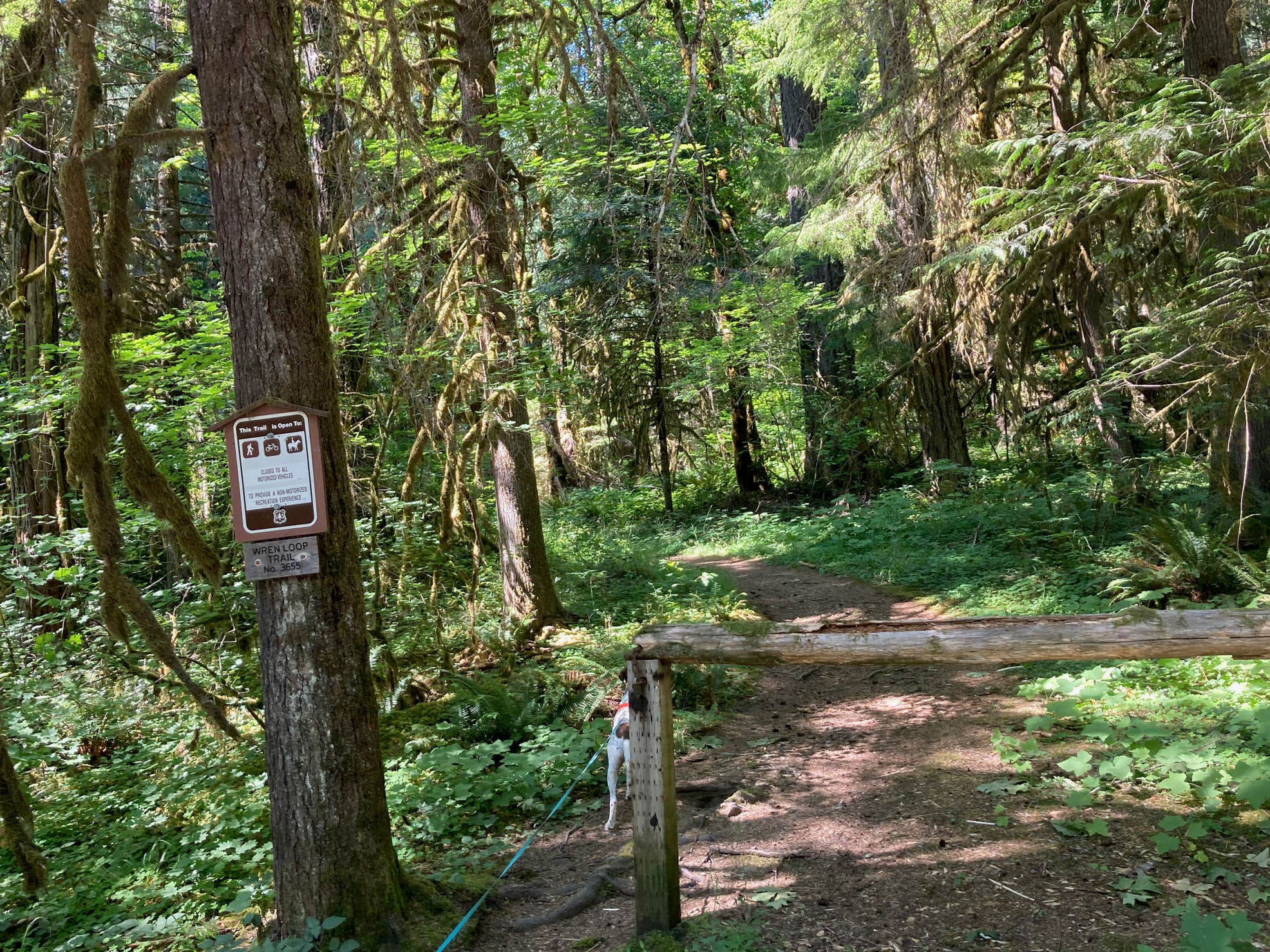 Casey's Riverside RV Park Camping | The Dyrt