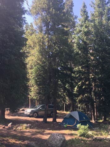 Idlewild Campground Camping | The Dyrt