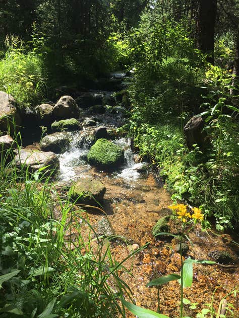 Idlewild Campground Camping | The Dyrt