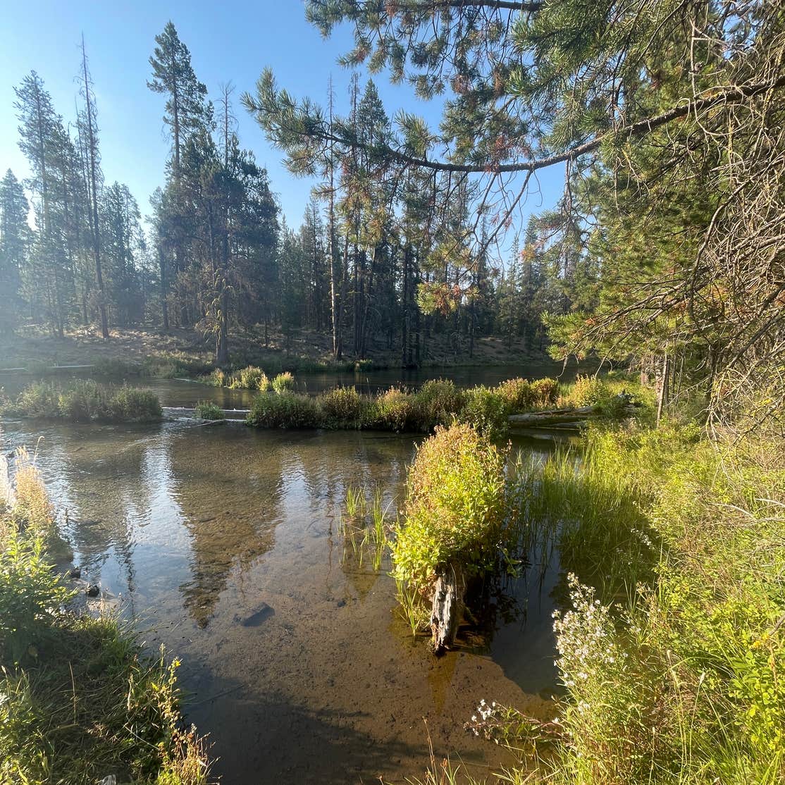 Fall River Campground | La Pine, Oregon
