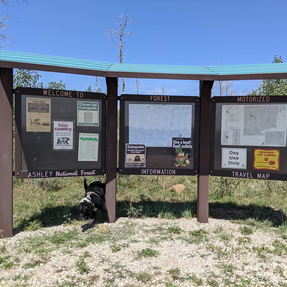 Range Study Area - FS Road #217 Camping | Flaming Gorge, Utah