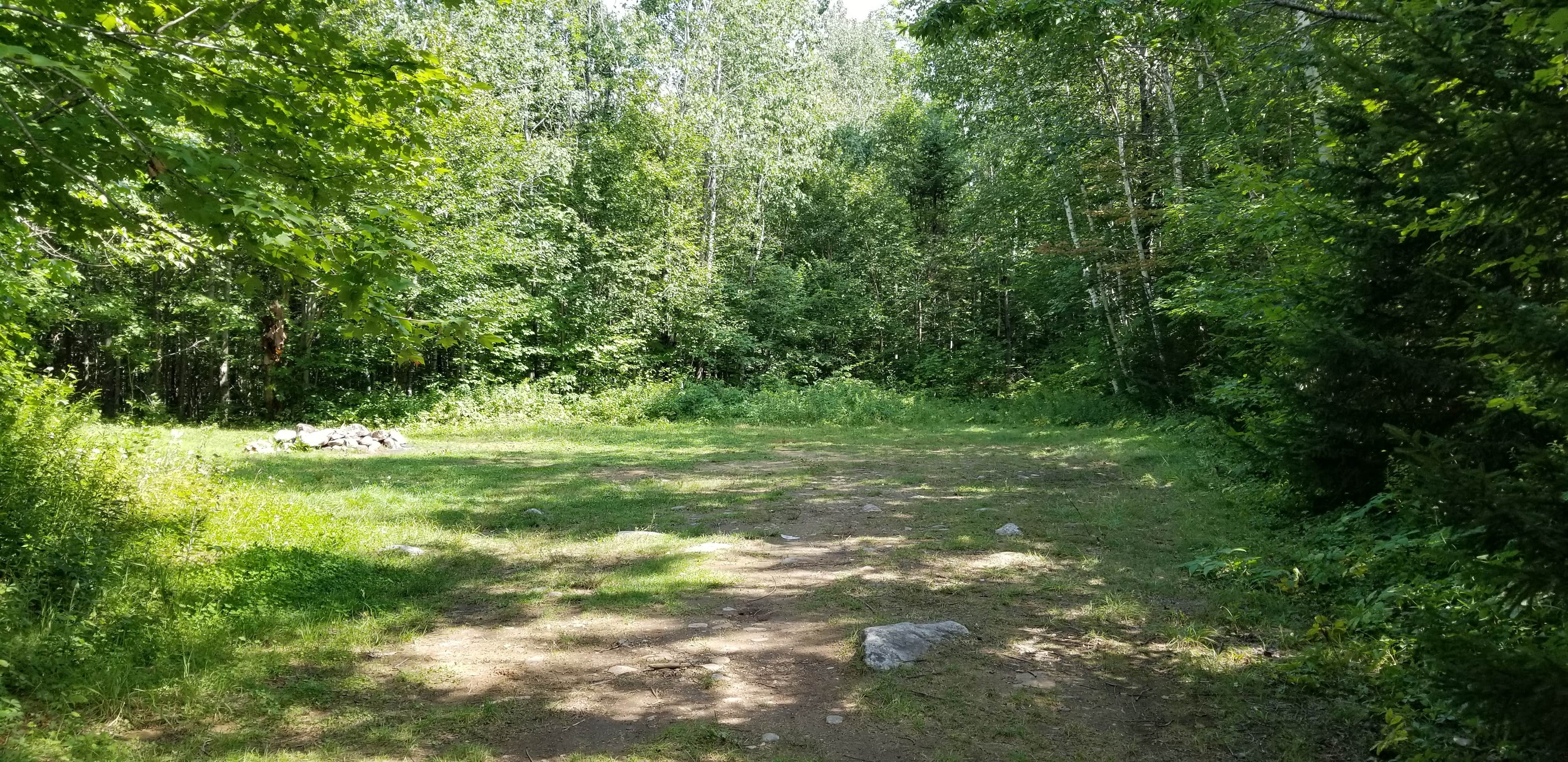 Town Hall Road Dispersed Camping | Chatham, NH