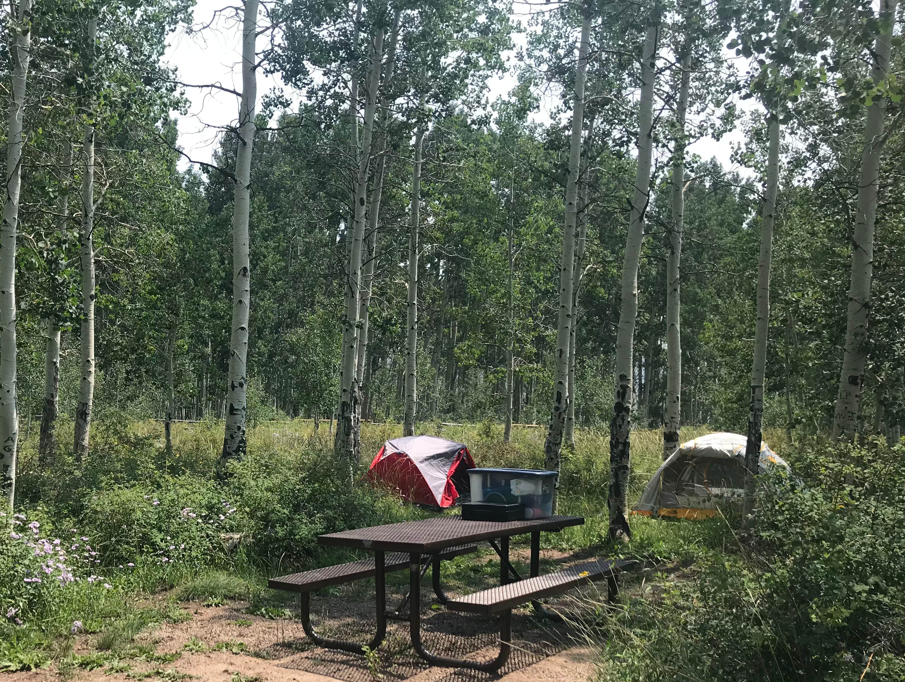Warner Lake Camping | Moab, UT