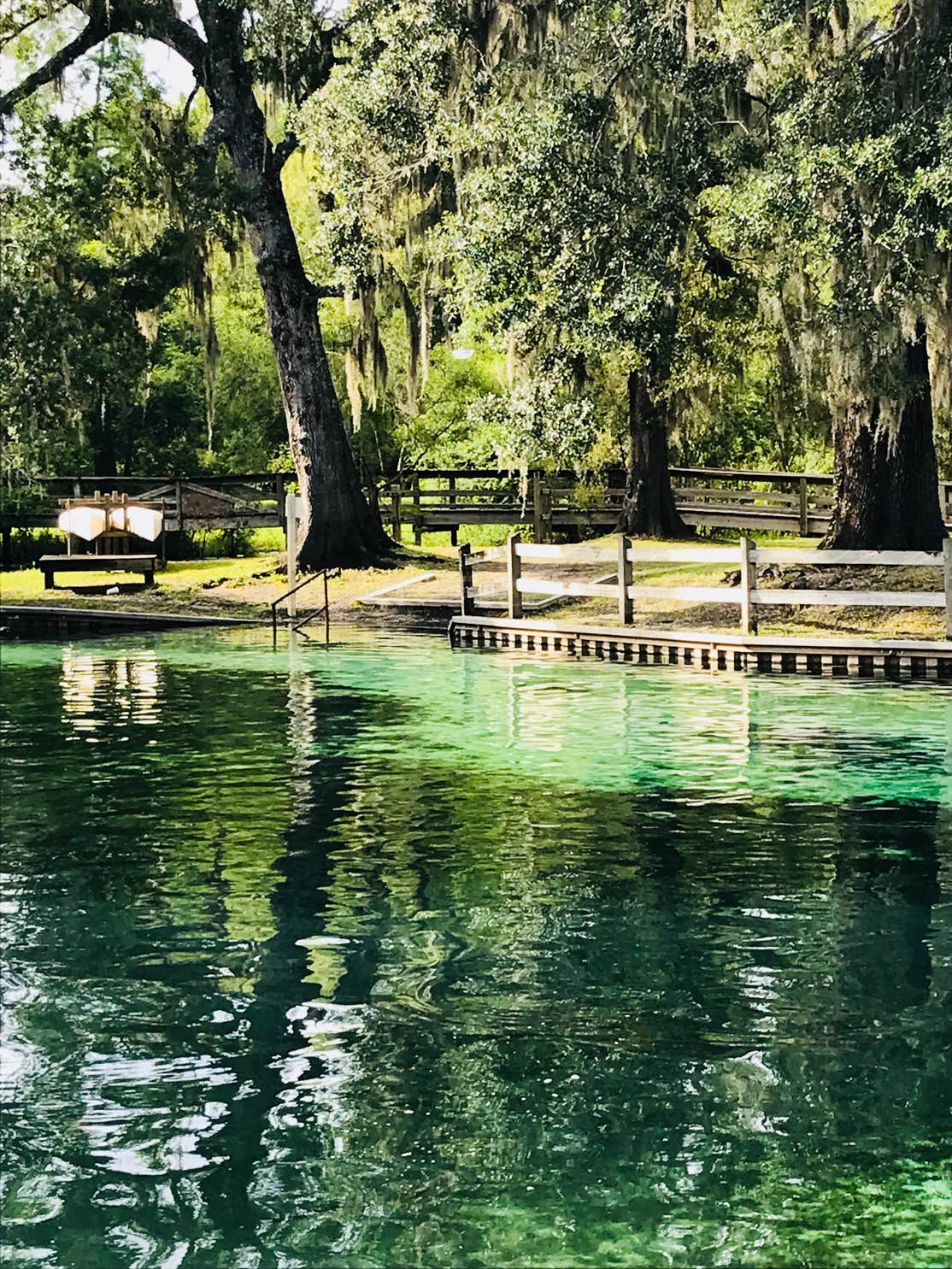 Hart Springs Park Camping | The Dyrt