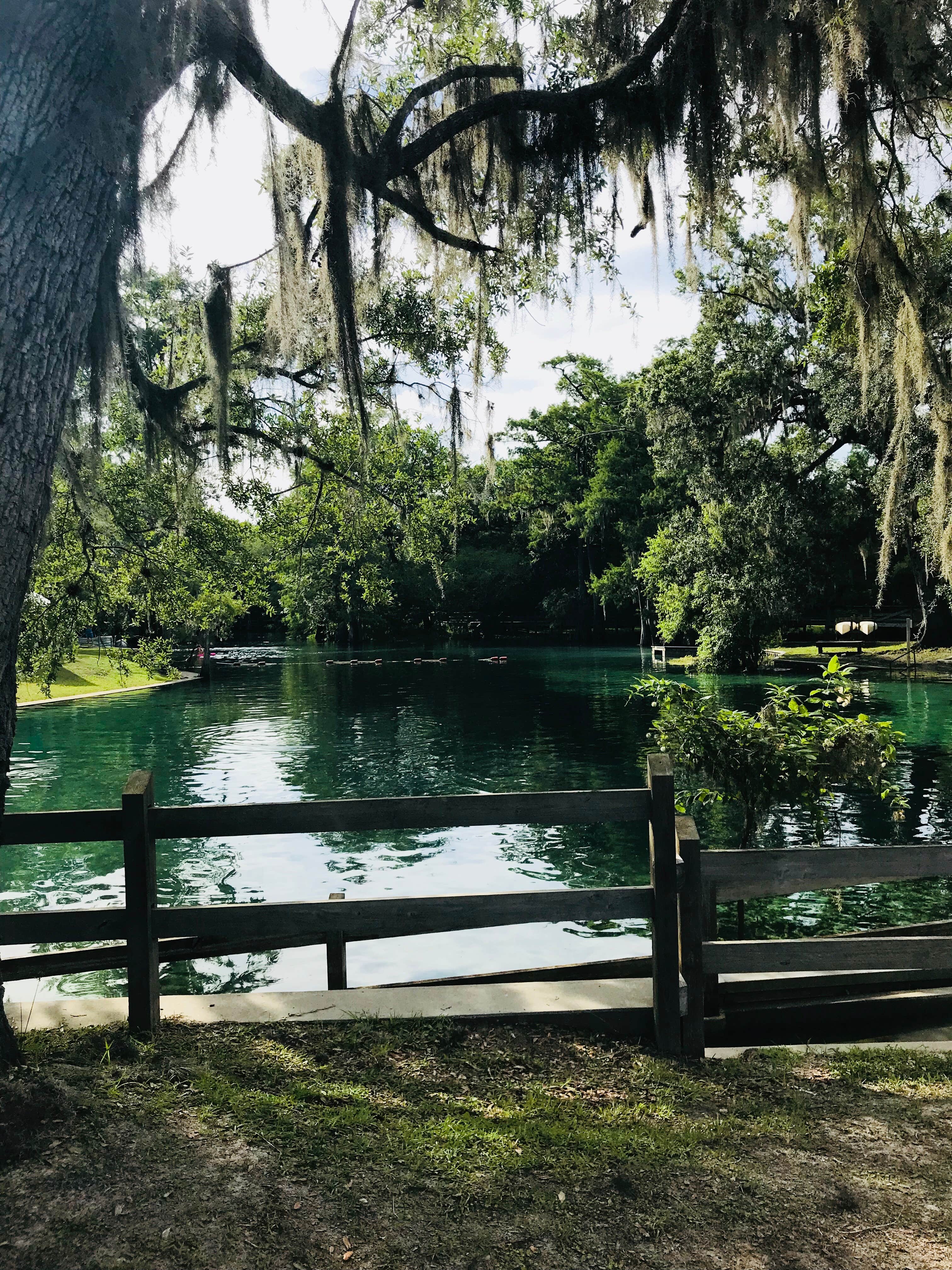 Hart Springs Park Camping | Fanning Springs, Florida