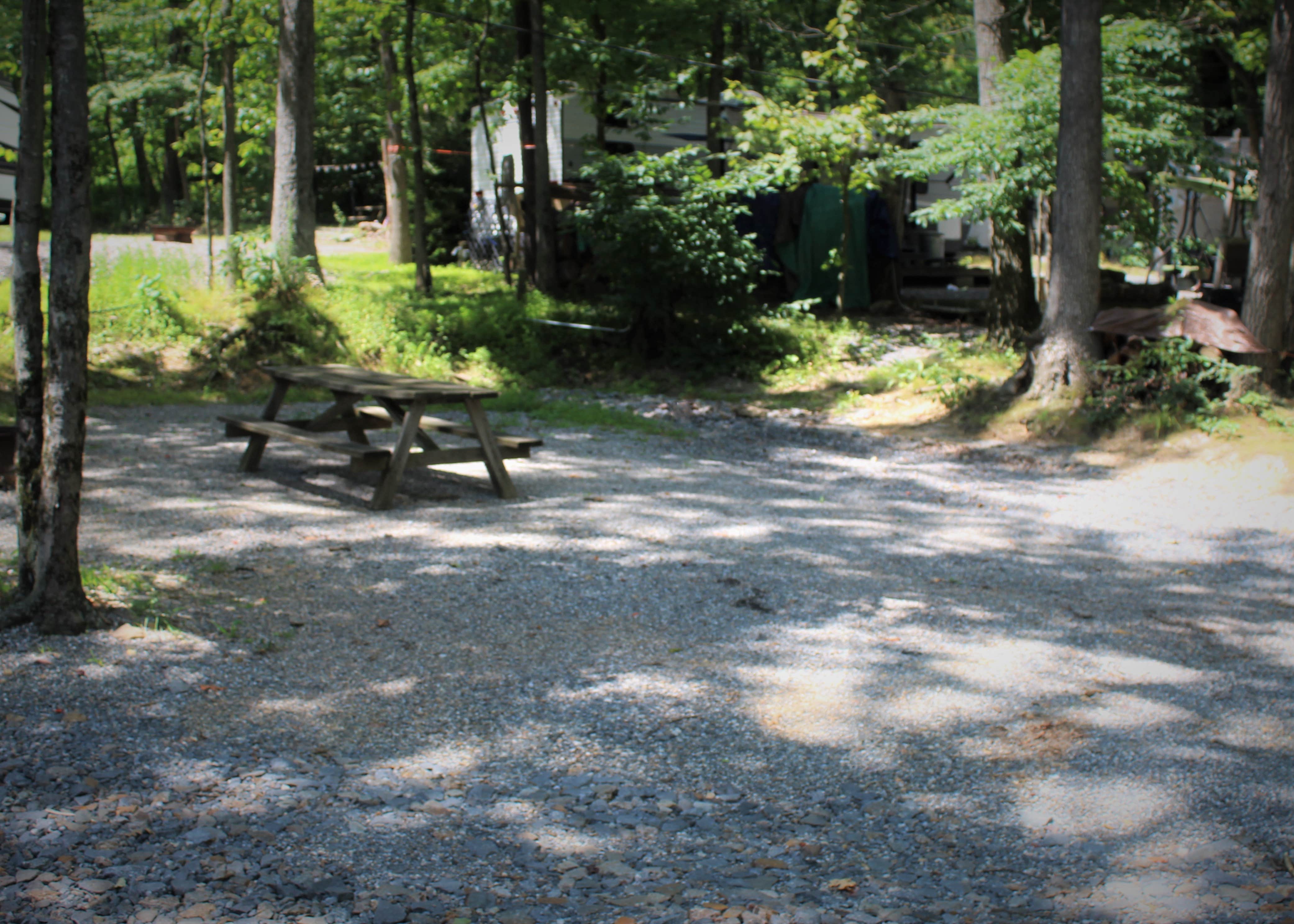 Rosemount Camping Resort Camping | The Dyrt