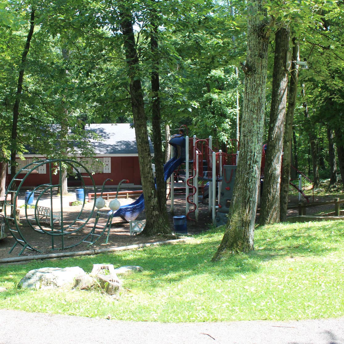 Rosemount Camping Resort Camping | The Dyrt