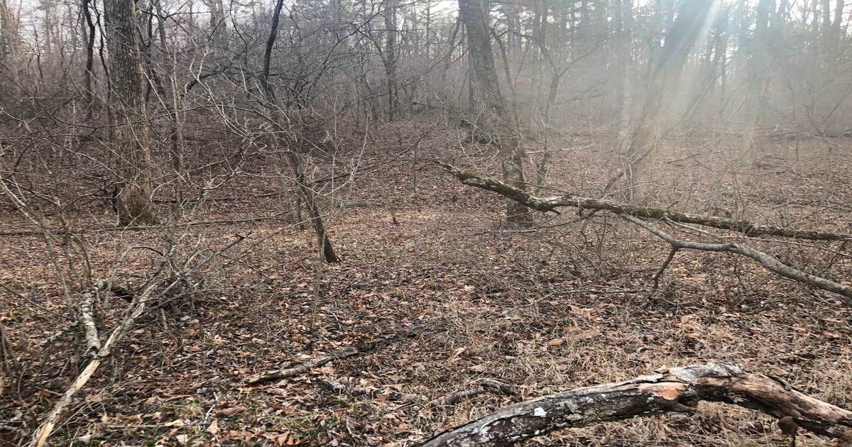 Sunklands Conservation Area Camping | Hartshorn, Missouri