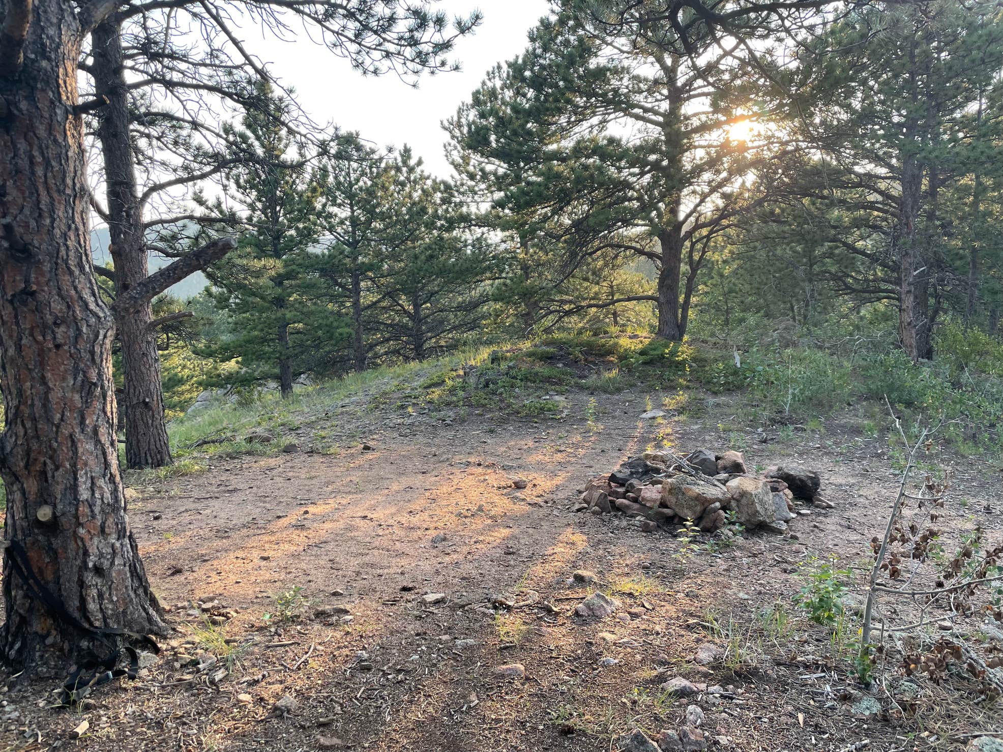 Gold Lake Area | The Dyrt