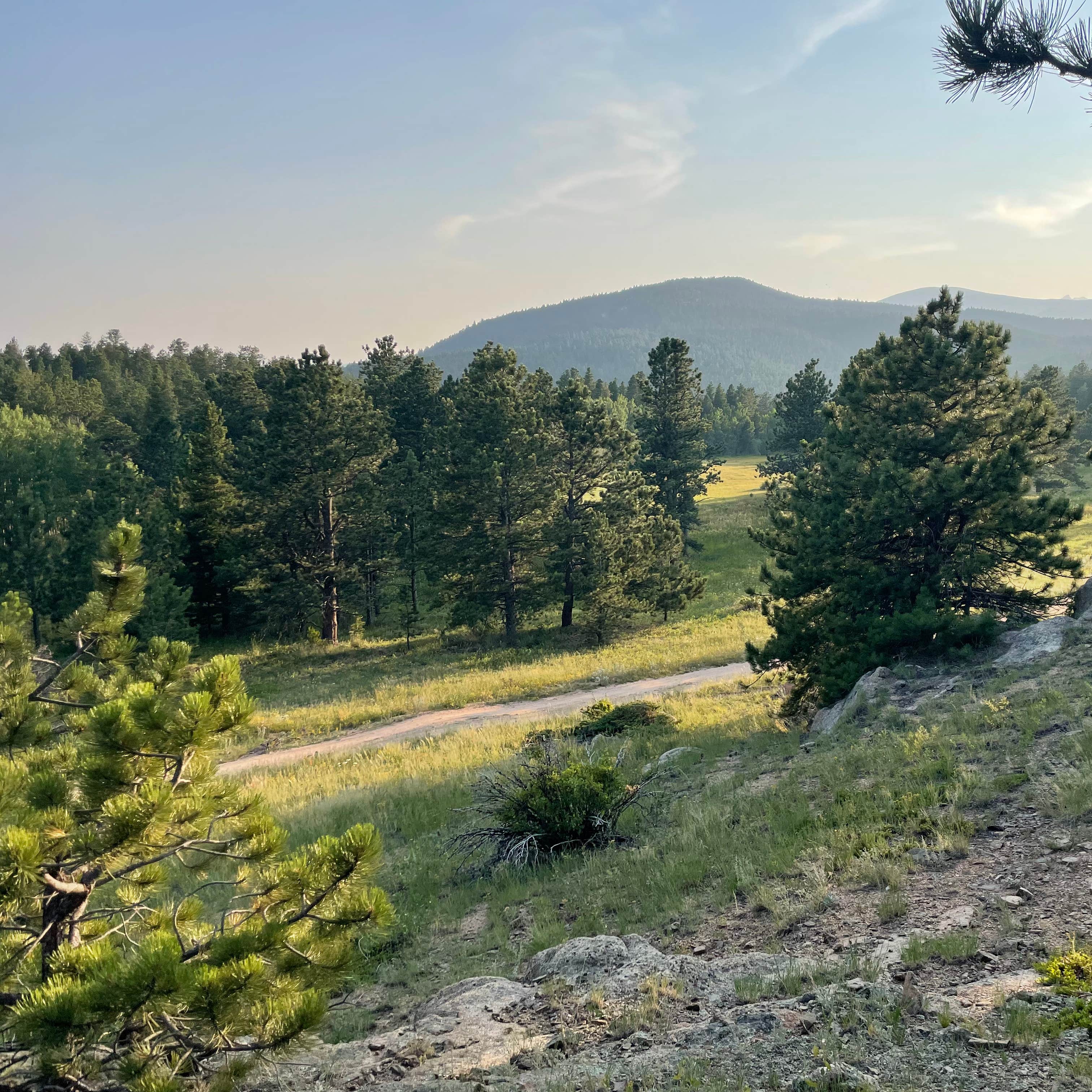 Gold Lake Area Camping | The Dyrt