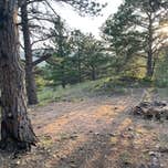 Gold Lake Area Camping | Ward, CO