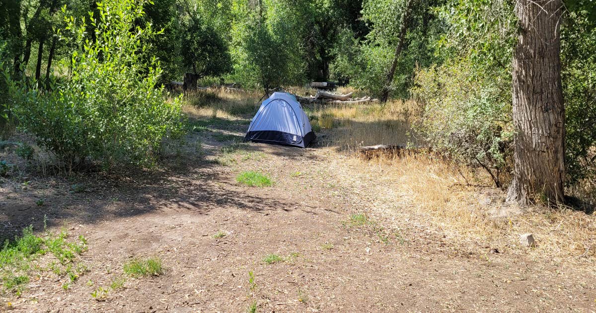 Camper-Submitted Photos of Diamond Campground